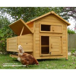 Hen House: The Devon